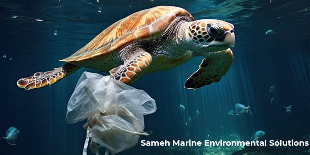 This blog is about ship chandling companies. | Sameh Marine